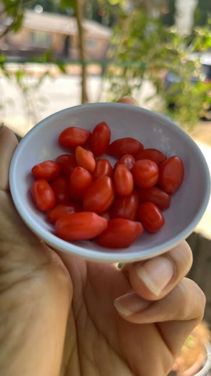 11 Fruits You Should Be Eating And 11 You Shouldn't