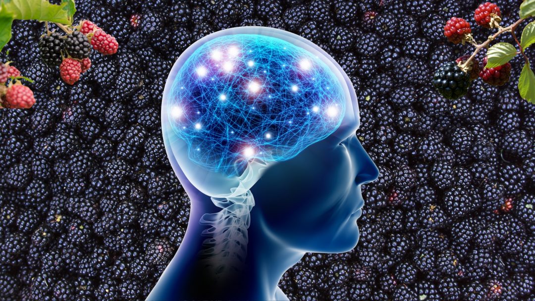 29 Easy Swaps for Healthier Meals (Without Sacrificing Flavor)