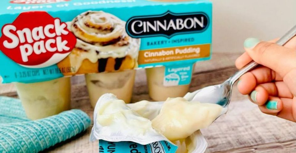 17 Snack Pack Pudding Flavors, Ranked