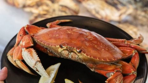20 Types Of Crab And How To Eat Them, According To Seafood Experts