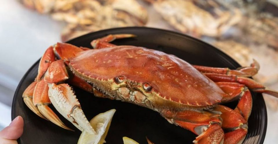 20 Types Of Crab And How To Eat Them, According To Seafood Experts