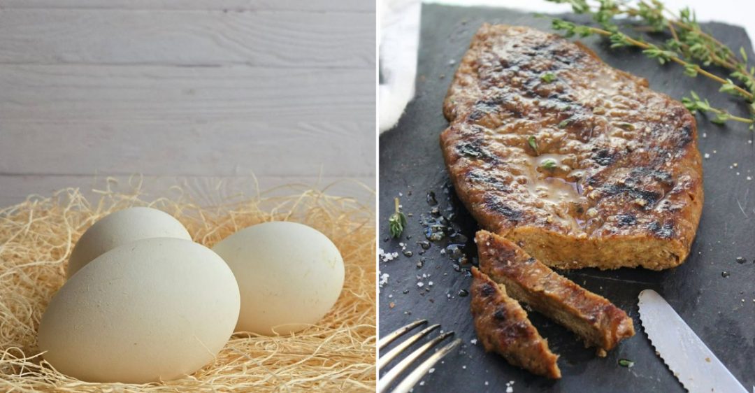 25 Cheap Protein Sources That Keep You Strong Without Breaking The Bank