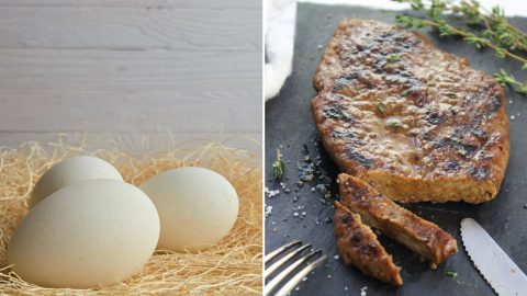 25 Cheap Protein Sources That Keep You Strong Without Breaking The Bank