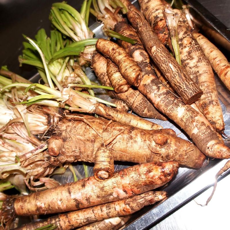 25 Lesser-Known Superfoods You Need To Try For A Health Boost