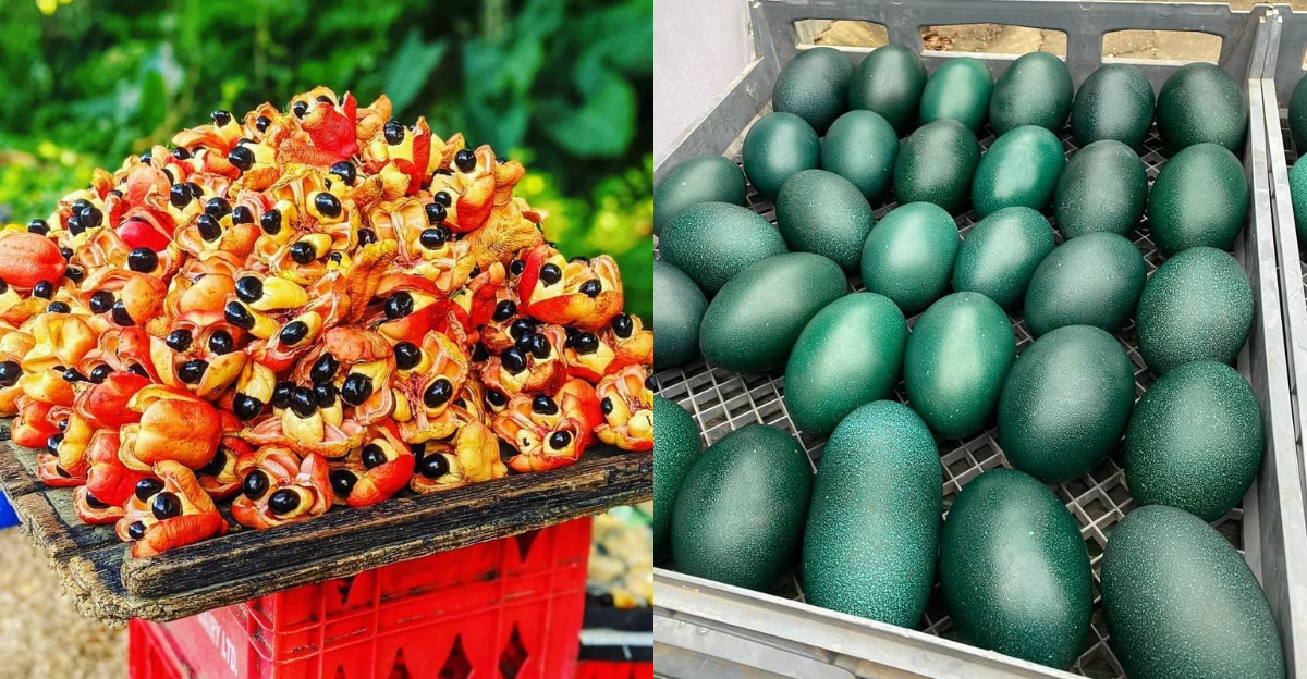 25 Lesser-Known Superfoods You Need To Try For A Health Boost