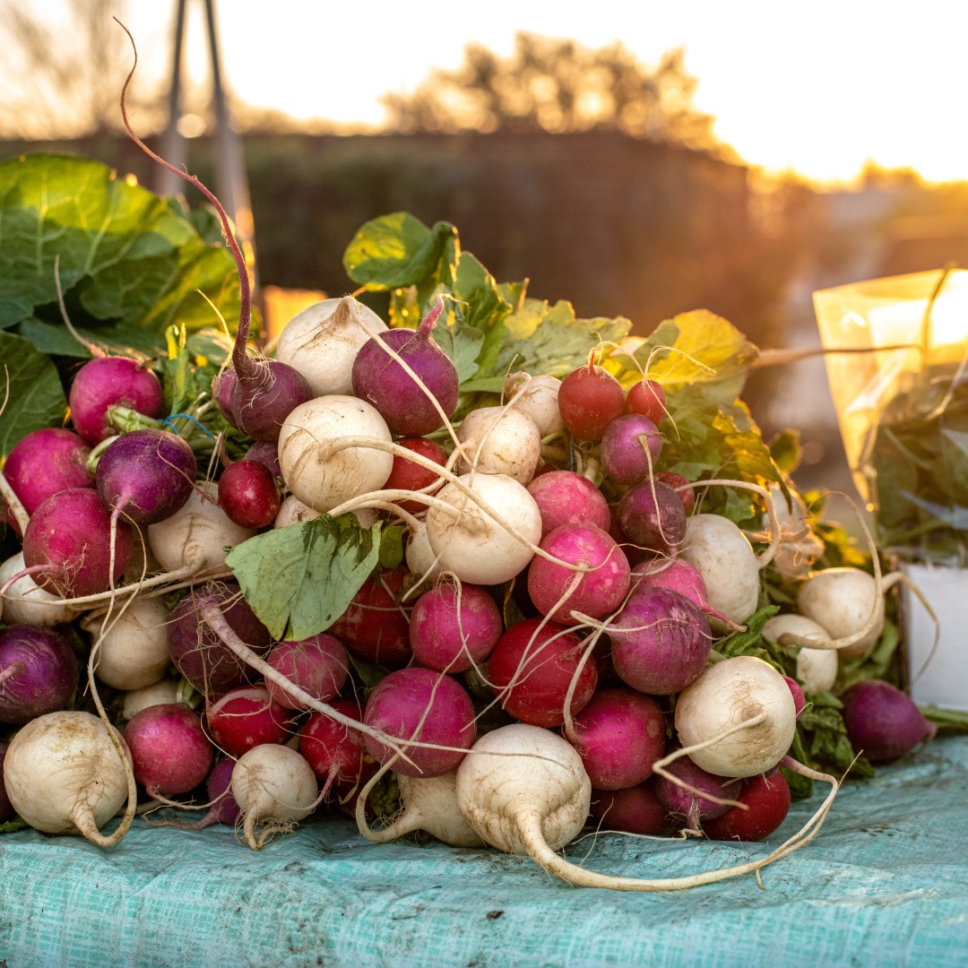 12 Vegetables You Should Eat Daily And 12 You’ll Survive Without