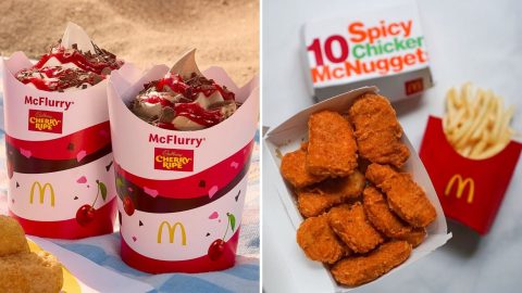 The Ultimate List Of McDonald's Best Limited-Edition Items