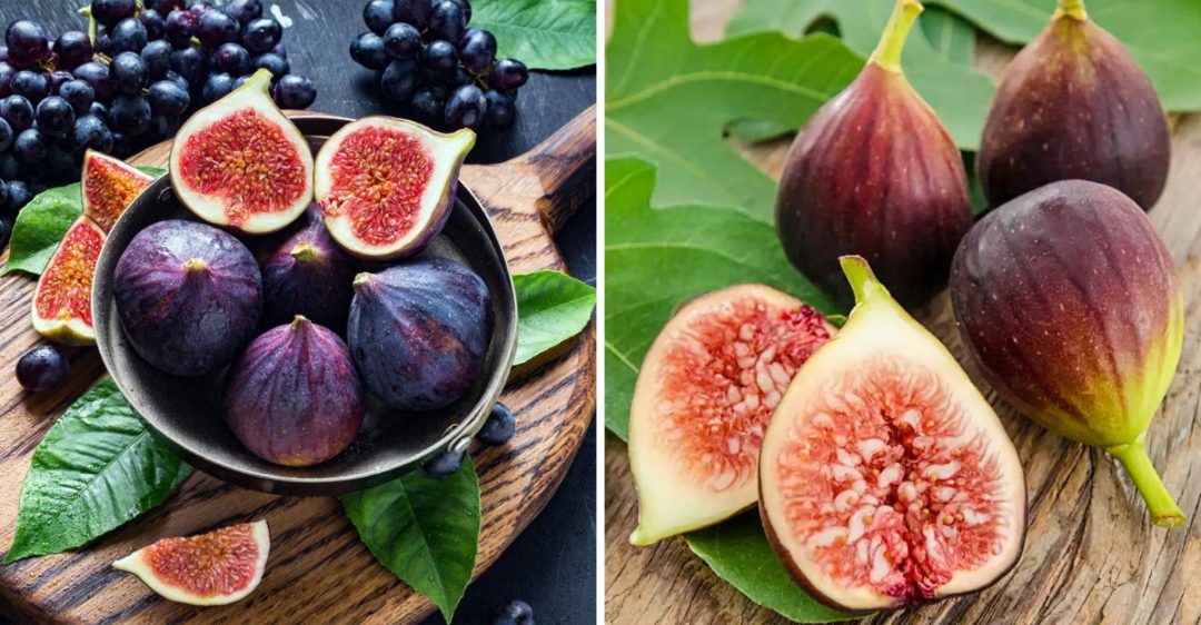 10 Types Of Figs And How To Best Use Each