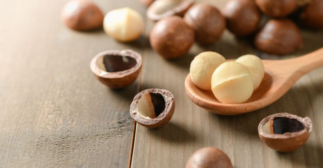 15 Health Benefits Of Macadamia Nuts + 5 Tasty Ways To Use Them