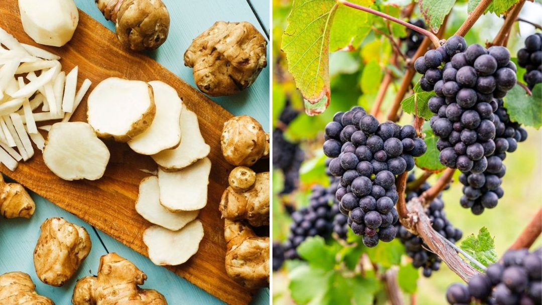 20 Recipes That Nurses Make For Dinner After A Long Shift