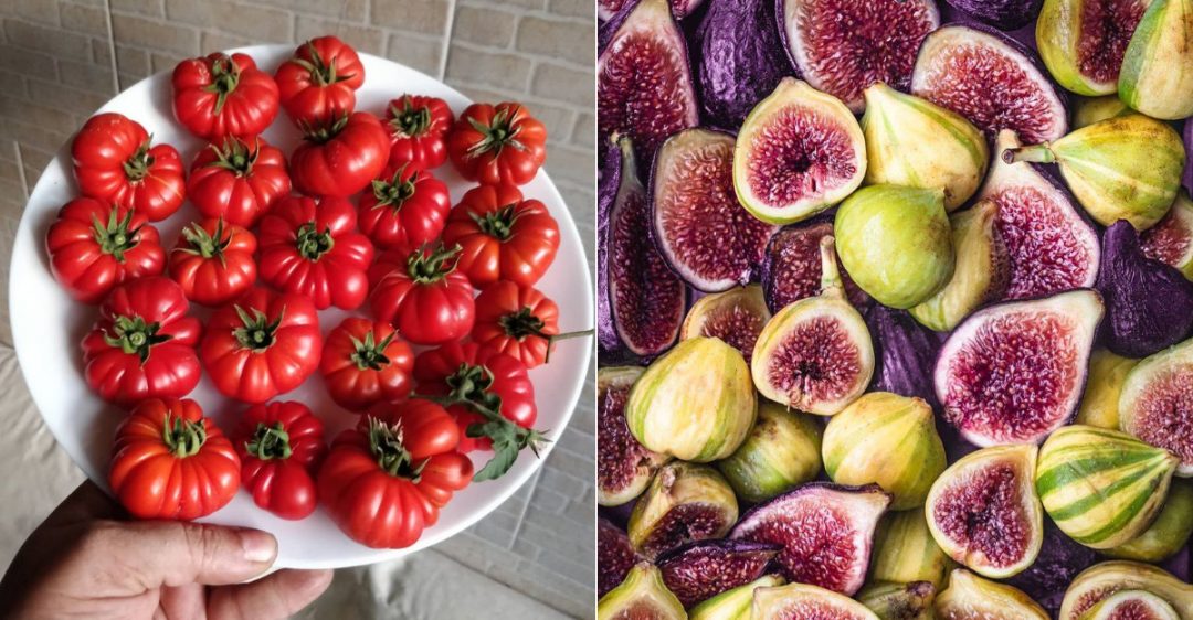 These Are The 55 Healthiest Foods To Power Up Your Plate