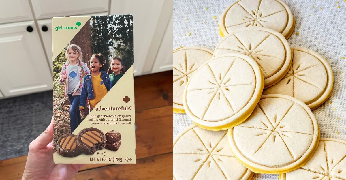 We Tasted Every Girl Scout Cookie — Ranked From Best To Worst