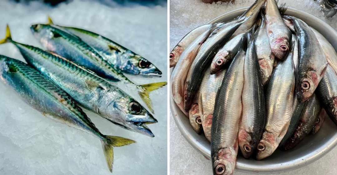 10 Cheap Fish Worth Buying And 8 You’ll Want To Skip At All Costs