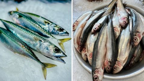 10 Cheap Fish Worth Buying And 8 You’ll Want To Skip At All Costs