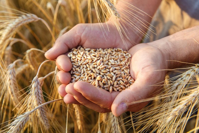 21 Foods In The Bible That Americans Put On Their Plates Today