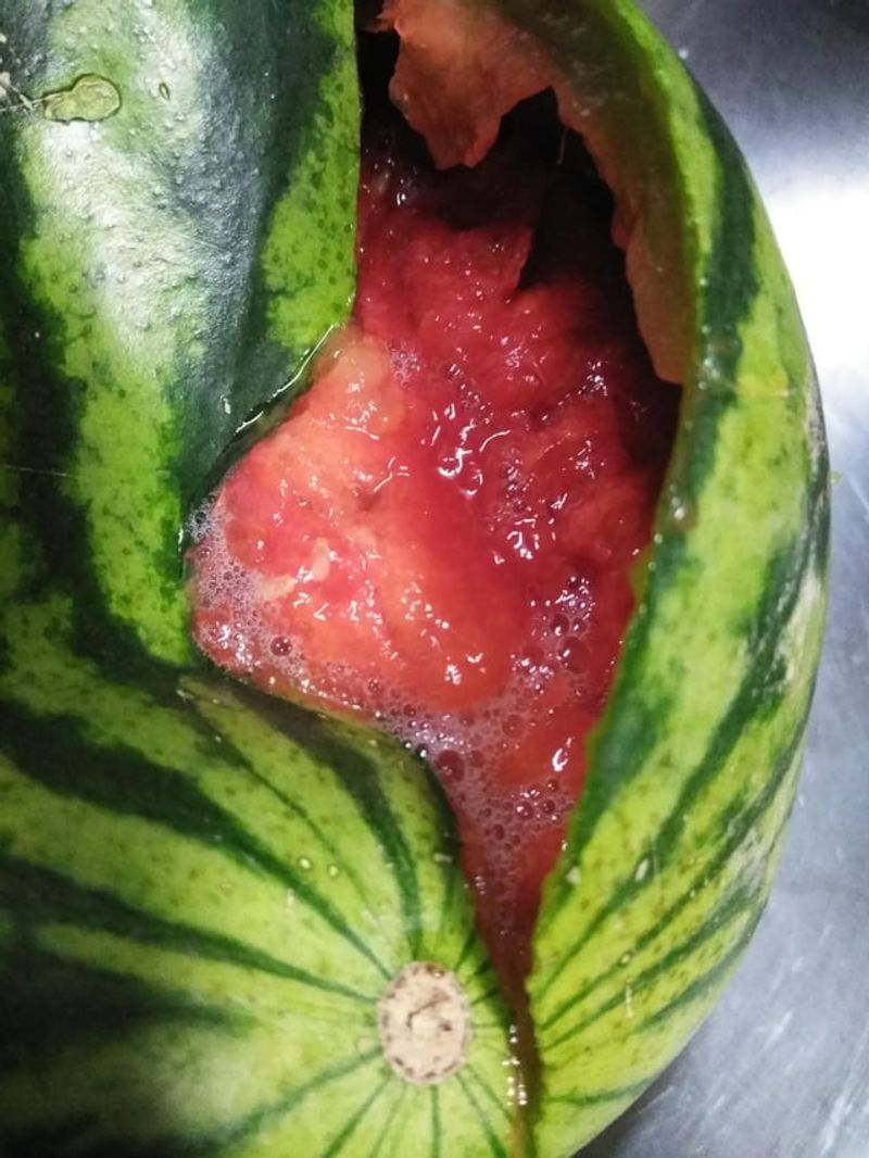11 Warning Signs Watermelon Is No Longer Safe To Eat