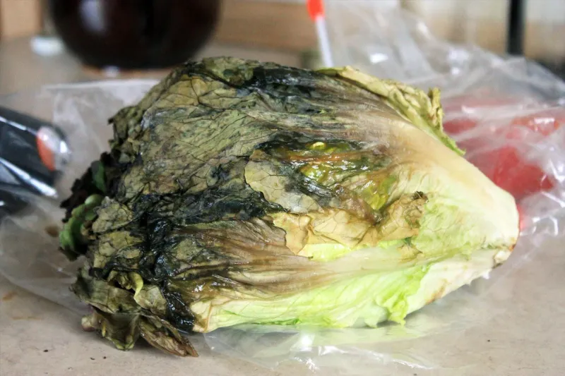 Here's How To Tell If Your Food's Gone Bad