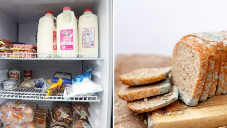 Here's How To Tell If Your Food's Gone Bad