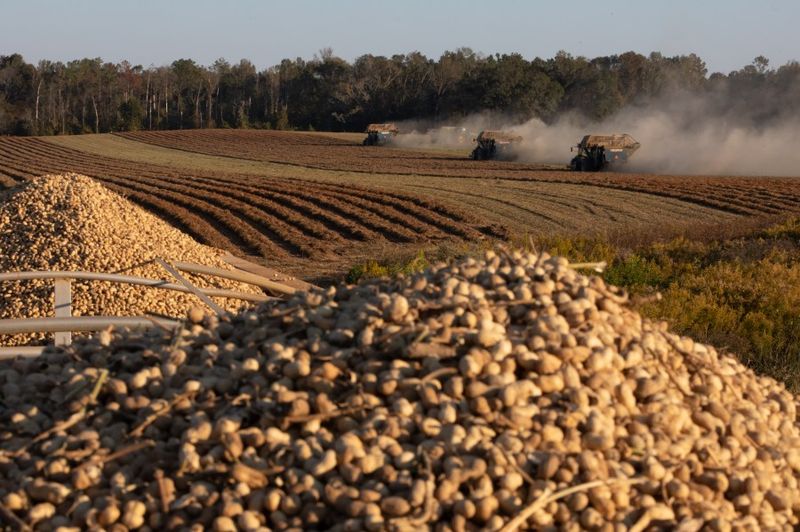 Georgia's 5 Official State Foods & 8 More That Might Be Next