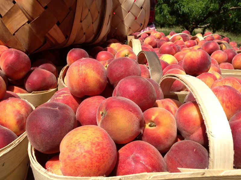 Georgia's 5 Official State Foods & 8 More That Might Be Next