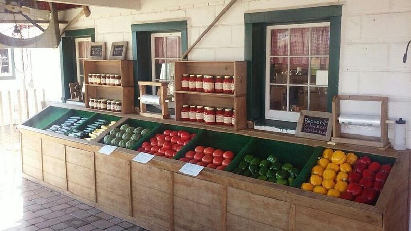 Delaware’s 8 Best Amish Markets For Unique Finds And Flavors